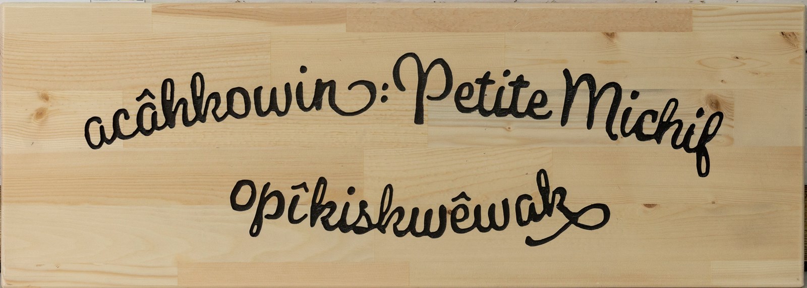 Michif Language Program